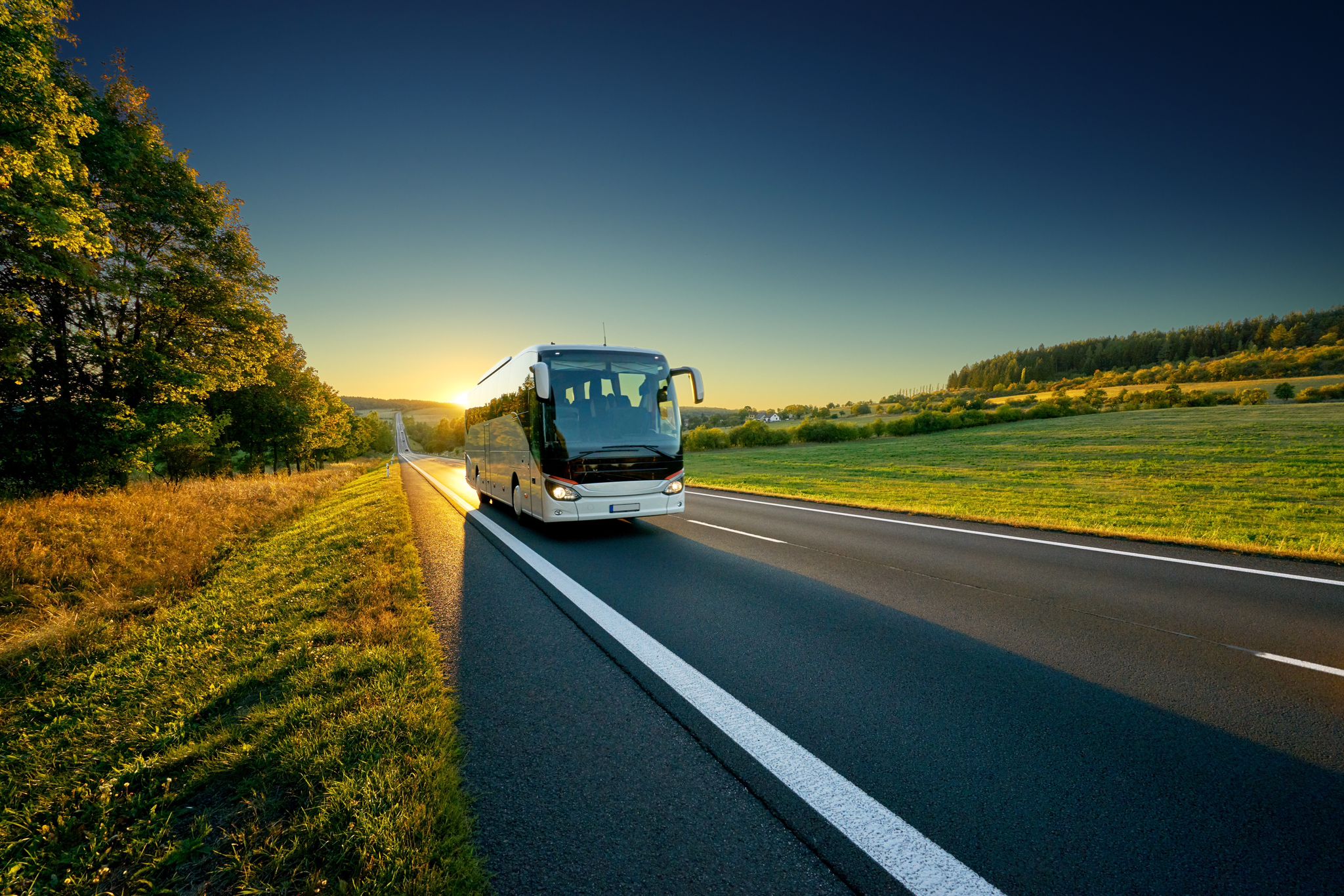 Group Travel - Mozaik Charter USA